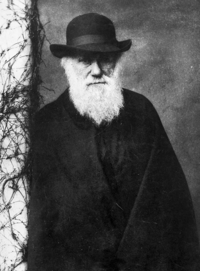 Happy Darwin Day! – Life, Writing, Weirdness